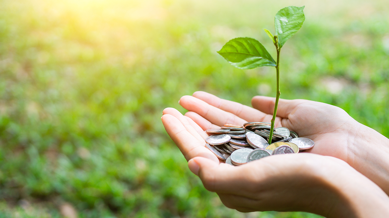 Championing ESG: How Boards Drive Sustainable Success