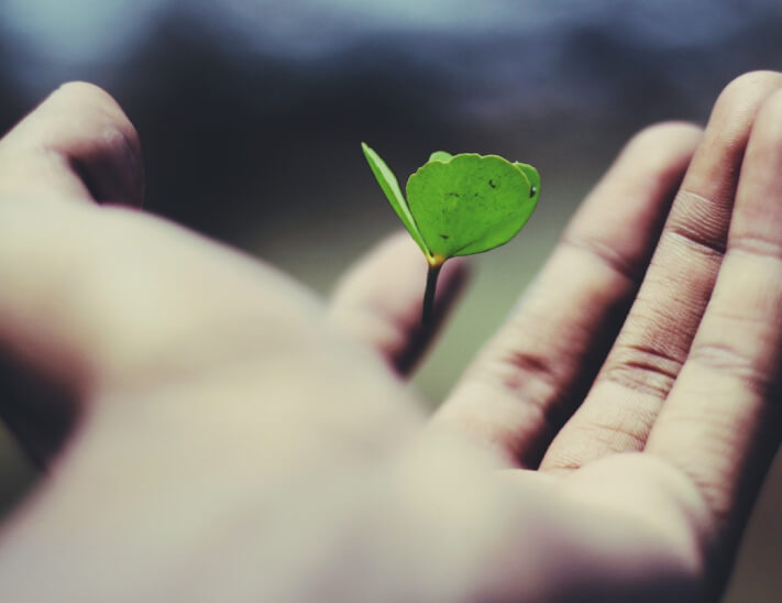 TCFD Transition Risk: What You Need To Know and How to Manage it - Lythouse