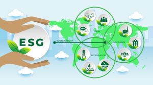 ESG Maturity Assessment: Assessing Your Company's ESG Progress