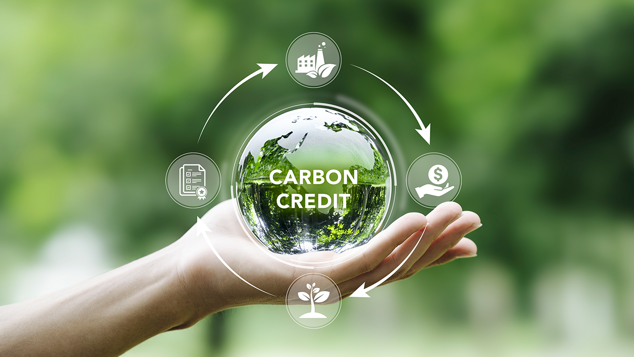 Unlocking the Power of Carbon Credits for Sustainable Future