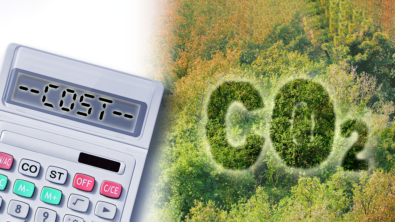 A 10-Step Carbon Footprint Calculator Guide- Lythouse