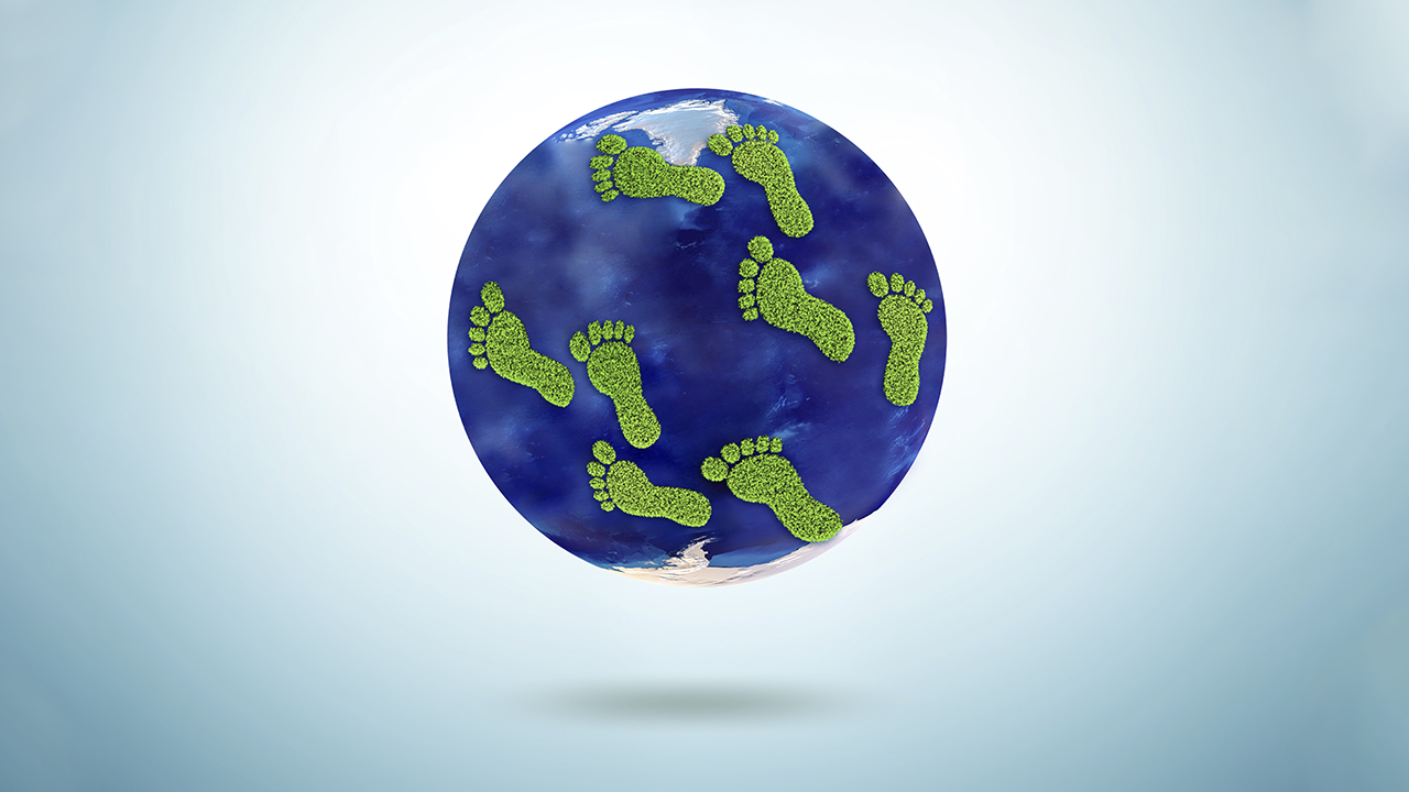 Reducing Environmental Footprint: Strategies for CSOs