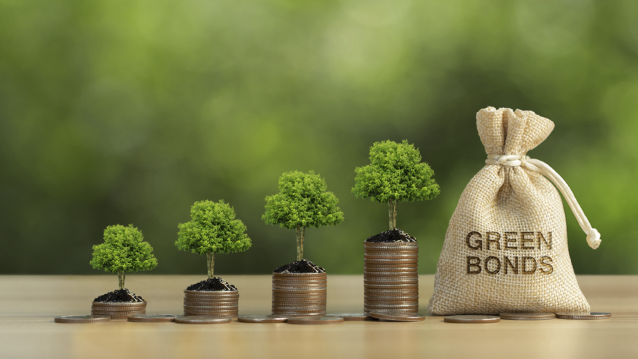 Sustainability A-Z: Your Guide to a Greener Future