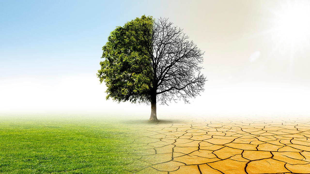 Why Become Climate Positive? Exploring Benefits & Strategies