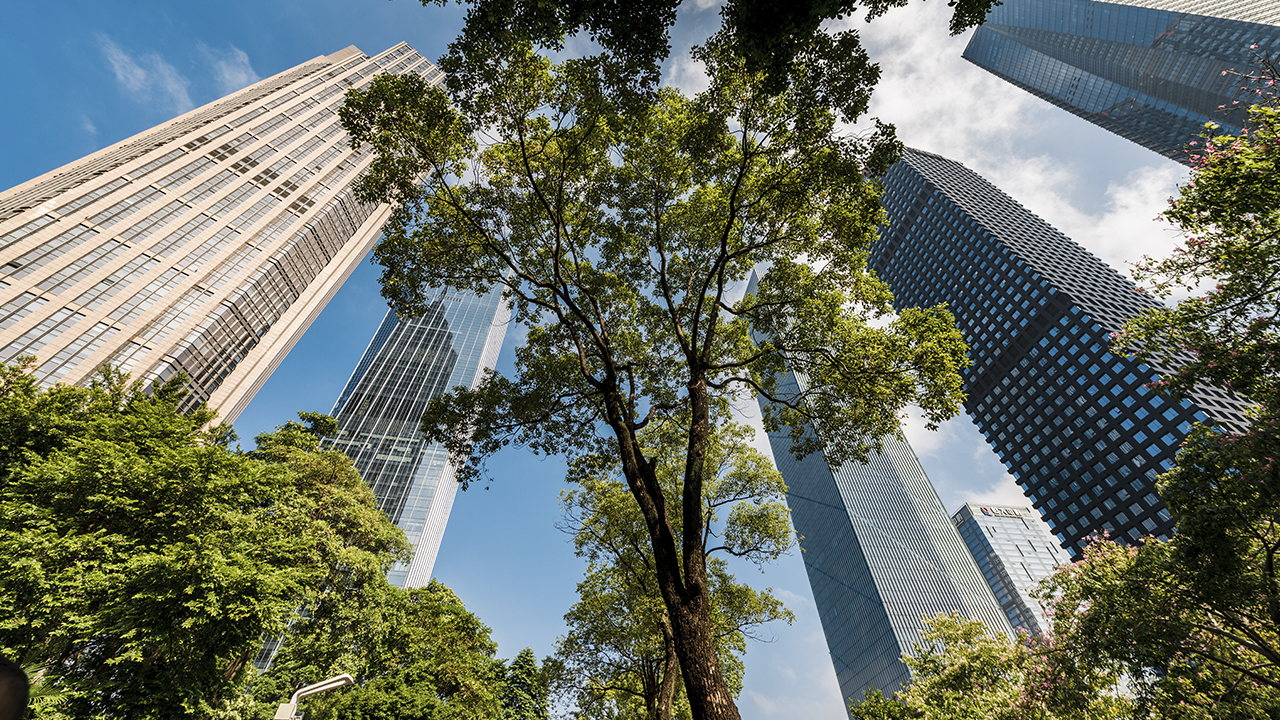 Understanding Green Computing: Its Implications and Benefits