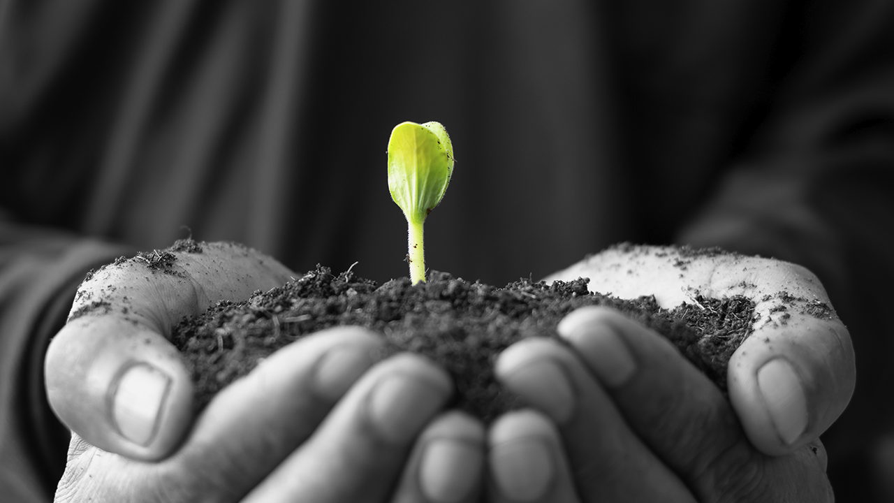 Nurturing a Sustainable Future: Collaborating for Environment ...