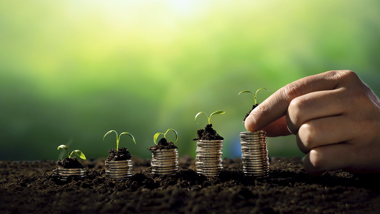 Investing for a Greener Tomorrow: Exploring Green Investing Opportunities
