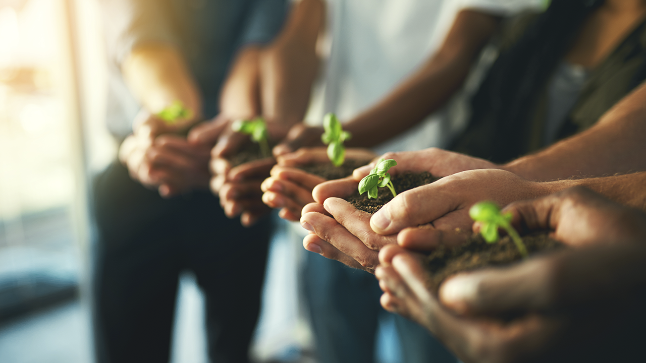 Greenwashing Examples 2024: Top 10 Greenwashing Companies misleading consumers - LytHouse ...