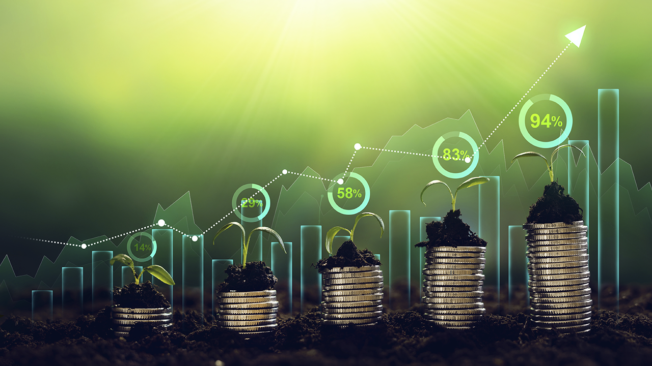 Navigating Sustainable Investment Choices: Understanding SFDR