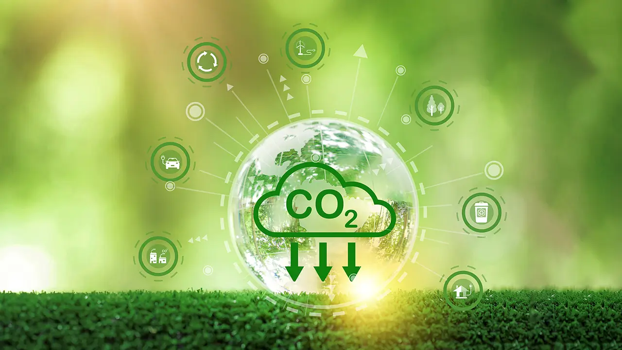 Exploring Scope 3 Emissions Categories: Real-Life Use Cases Exploring Scope 3 Emissions Categories: Real-Life Use Cases
